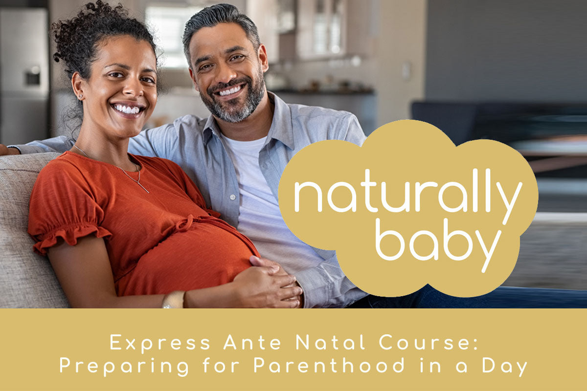 Express Ante Natal Course: Preparing for Parenthood in a Day ...